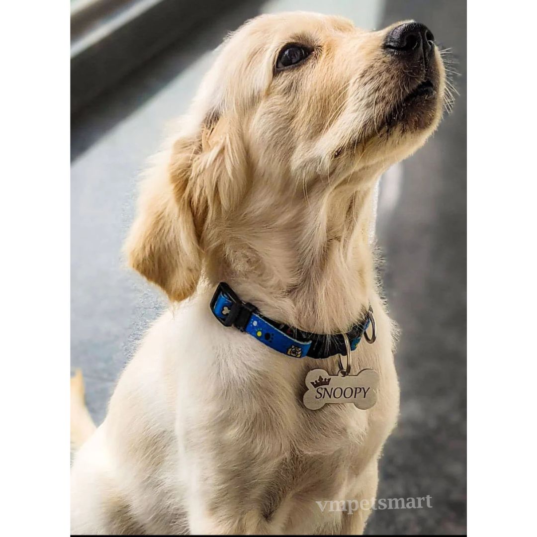 VM Mart Dog Name Tag – Bone with Crown 5cm - VM Pets Mart