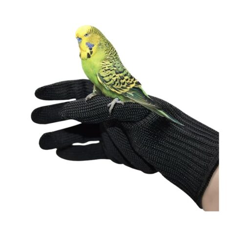 VM Mart Bite-Proof Bird Handling Gloves 1 Set - VM Pets Mart